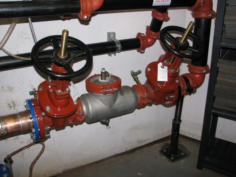 Double check valve backflow preventer for fire protection systems ...